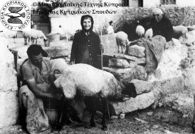 ΜΟΥΣΕΙΟ ΛΑΪΚΗΣ ΤΕΧΝΗΣ ΚΥΠΡΟΥ_ΕΠΙΣΗΜΗ ΙΣΤΟΣΕΛΙΔΑ